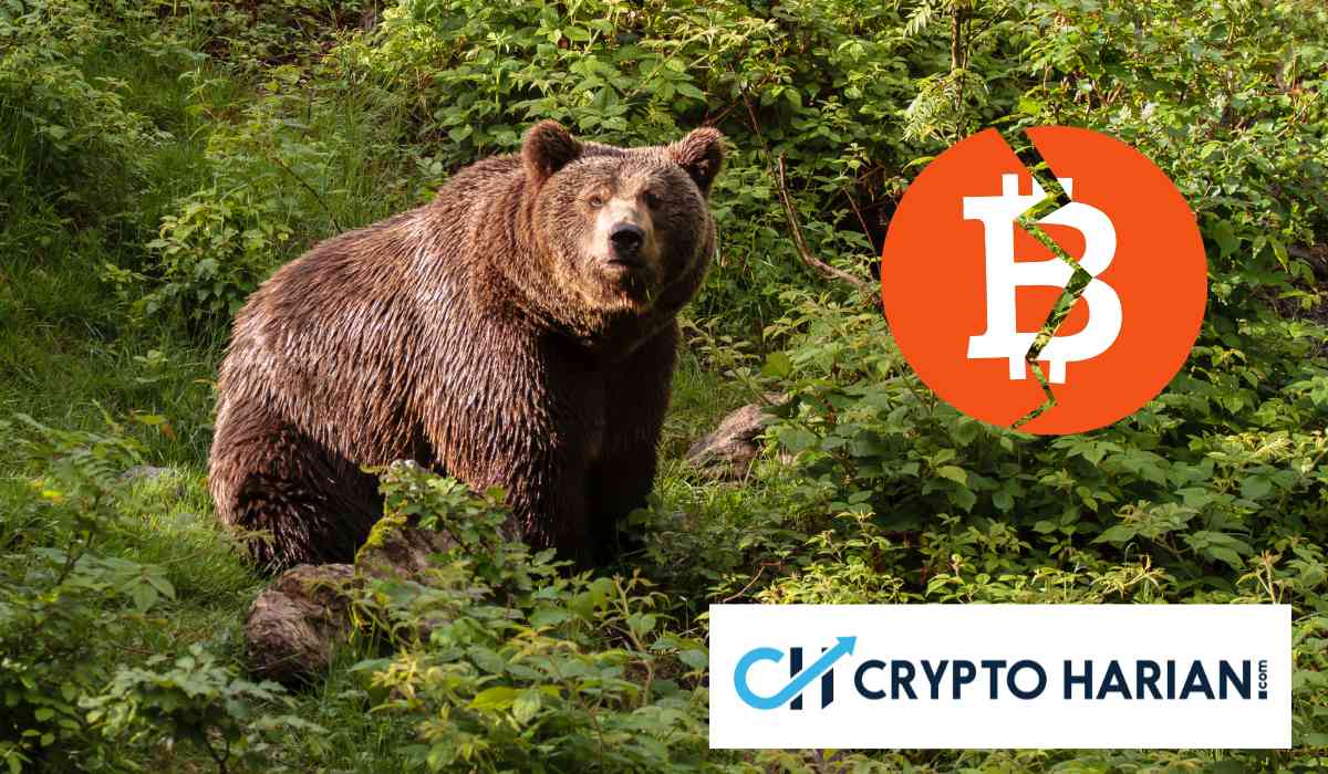 Bitcoin Merosot ke Kisaran Level US$ 22.300, Bear Kembali Ambil Alih Pasar? | CryptoHarian