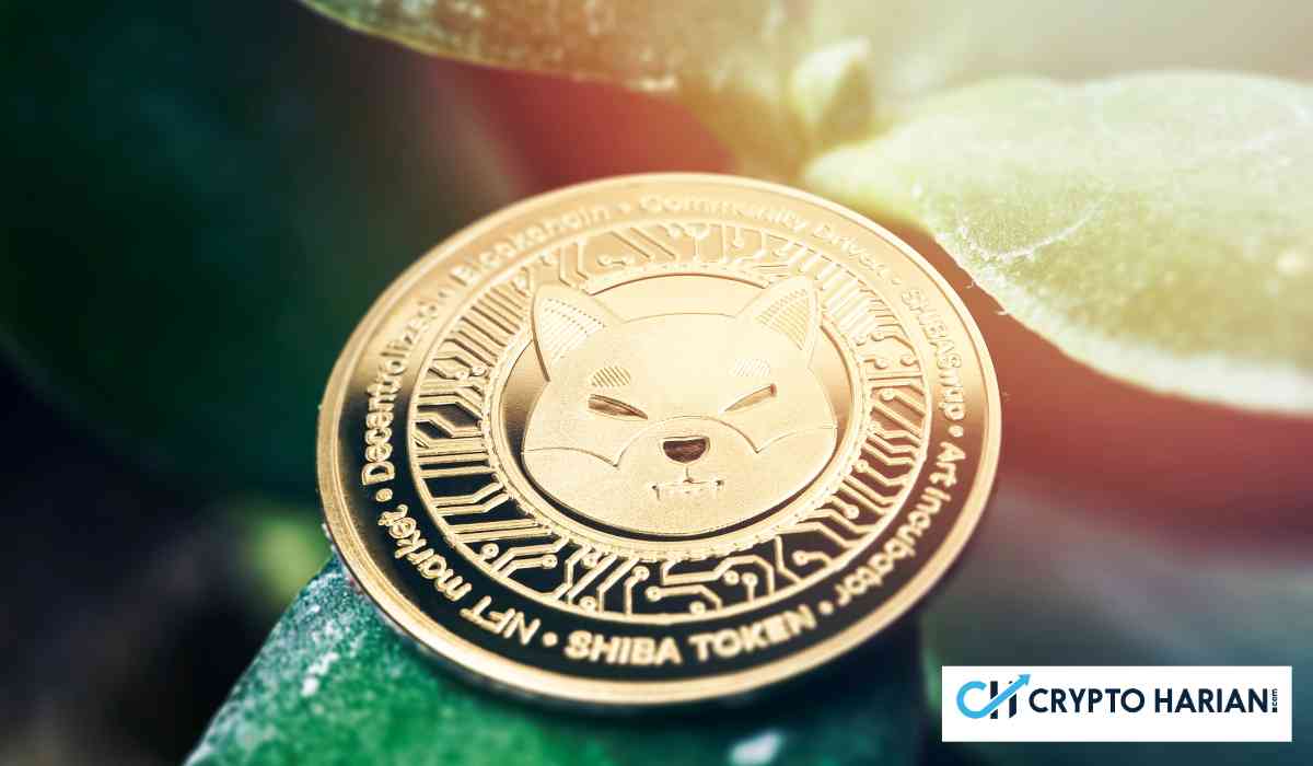 Sistem Pembakaran UI Pancing Semangat Penggemar Shiba Inu | CryptoHarian