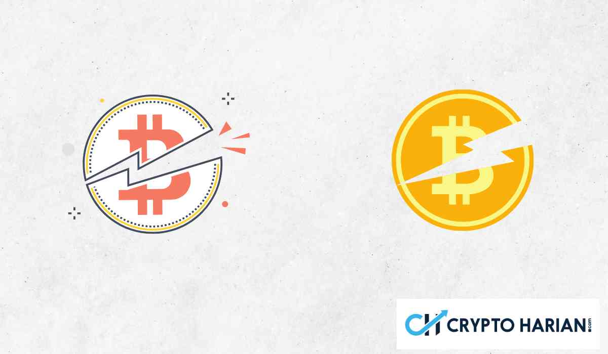 Seperti Apa Gambaran Halving Bitcoin Pada Tahun 2024 Mendatang? Simak ...