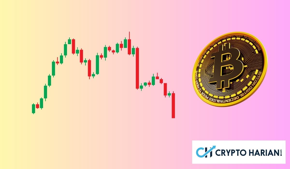 Double Top Bitcoin Sudah Terbentuk, Apakah Akan Lanjut? | CryptoHarian