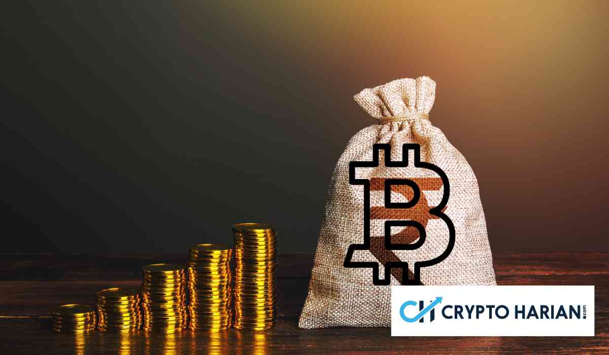 Apakah Harga Hash Bitcoin yang Terjun Bebas Adalah Waktu yang Tepat ...