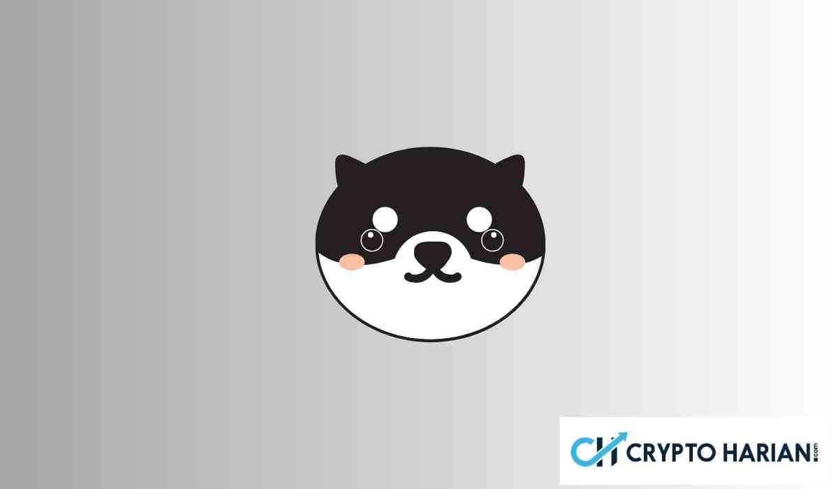 Shiba Inu: US$1000 Menjadi US$15 Juta Dalam Tiga Tahun | CryptoHarian