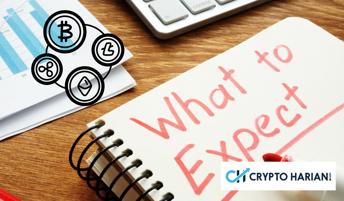 Prediksi Harga XRP: 4 Altcoin Siap untuk Reli Desember 2024 | CryptoHarian